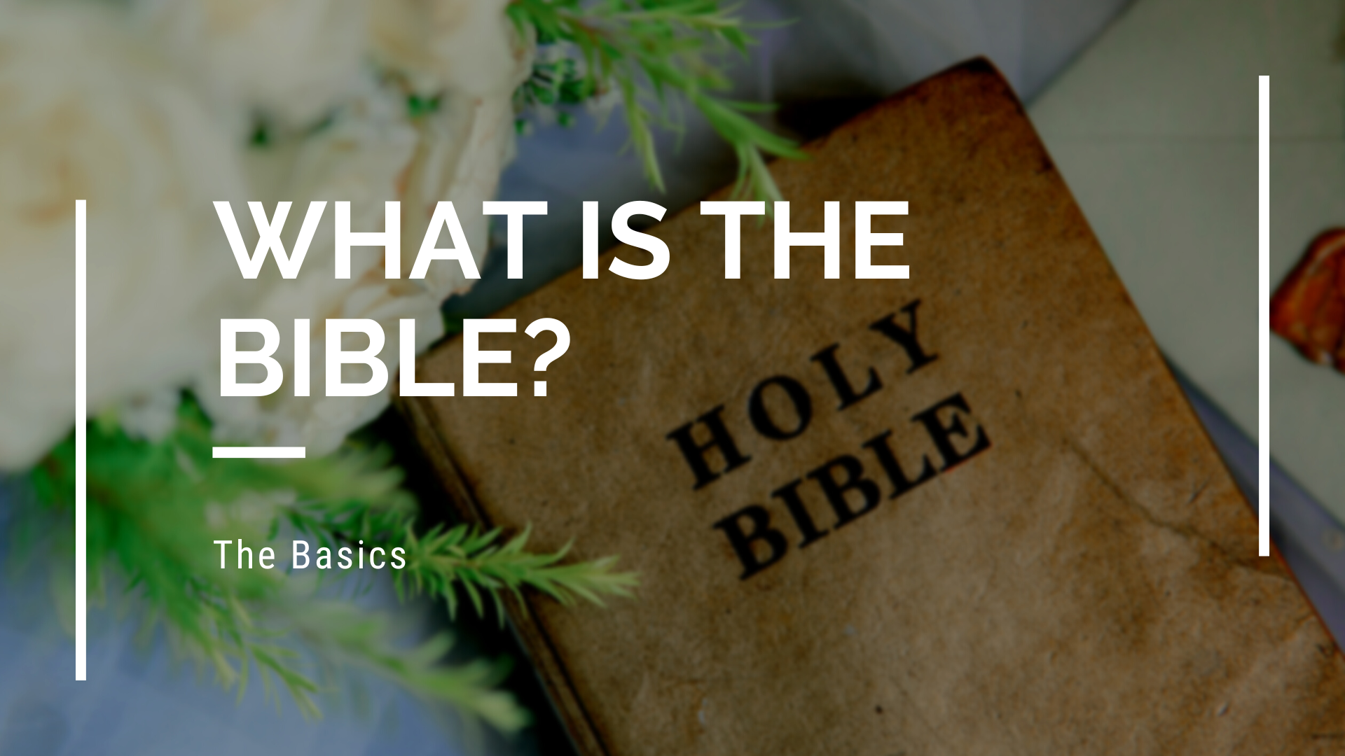 What is the Bible?: The Basics - Salty Gaijin